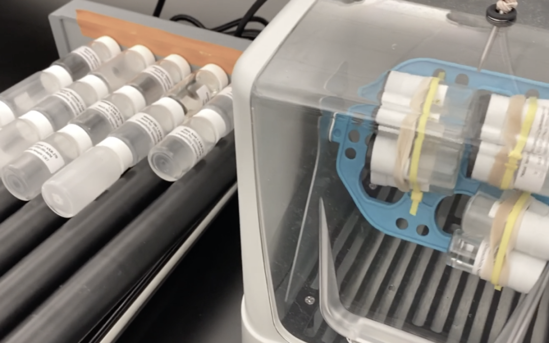 Articles Archives - Page 7 Of 11 - Dow Development Labs